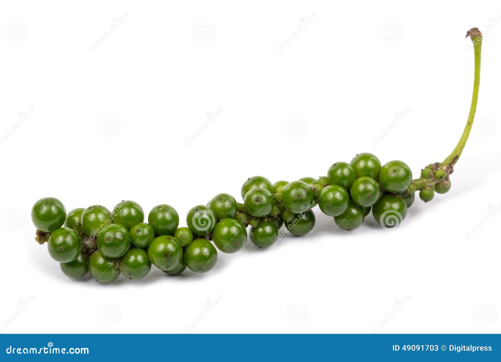 Green Peppercorn stock image. Image of flavoring, close - 49091703