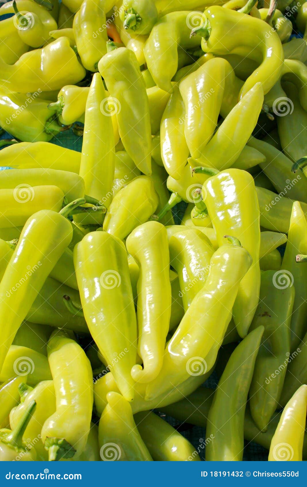 Green peppers stock photo. Image of flavor, greek, green - 18191432