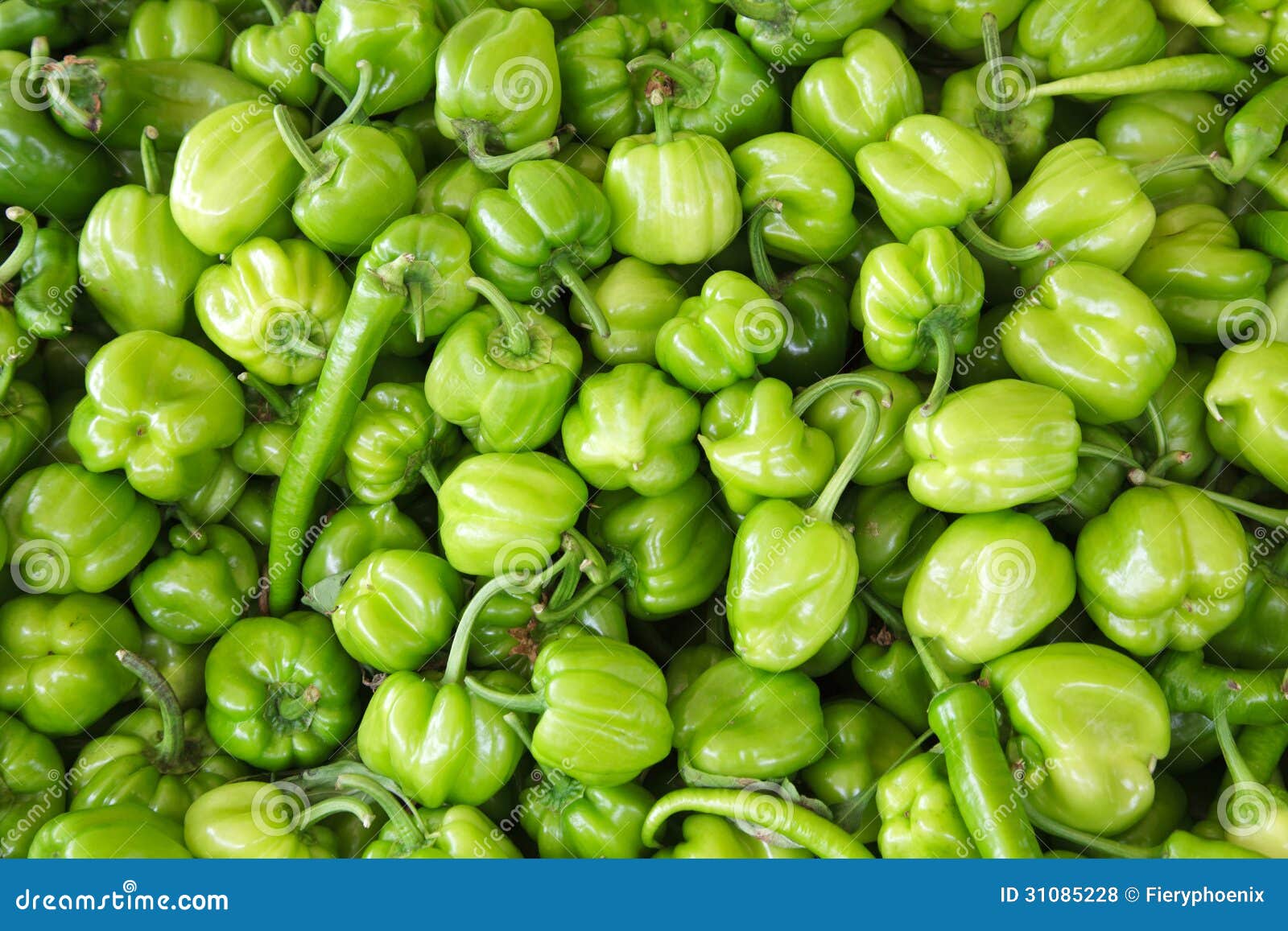 Green peppers background stock photo. Image of kitchen - 31085228