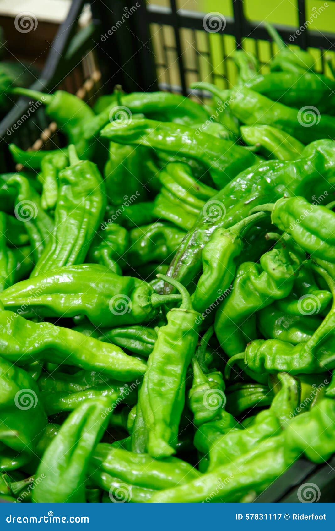 Green peppers in a box stock image. Image of cook, fresh - 57831117
