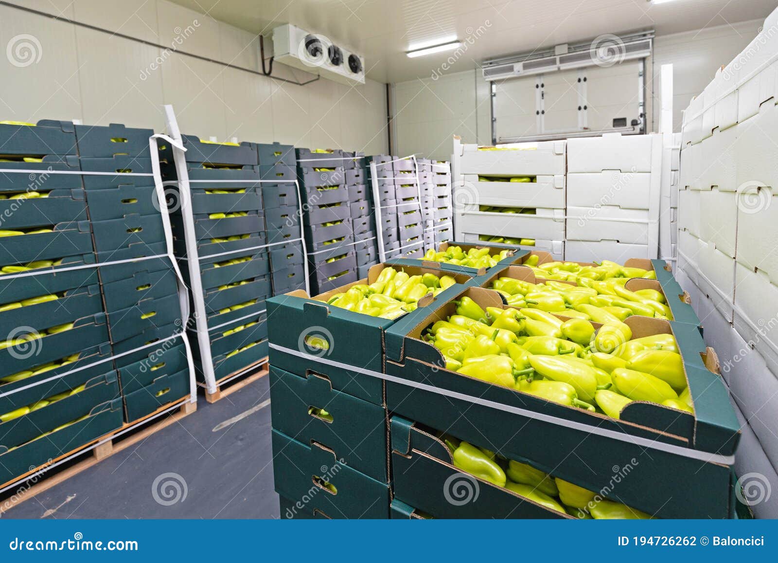 Peppers Boxes Storage stock photo. Image of cold, vegetables - 194726262