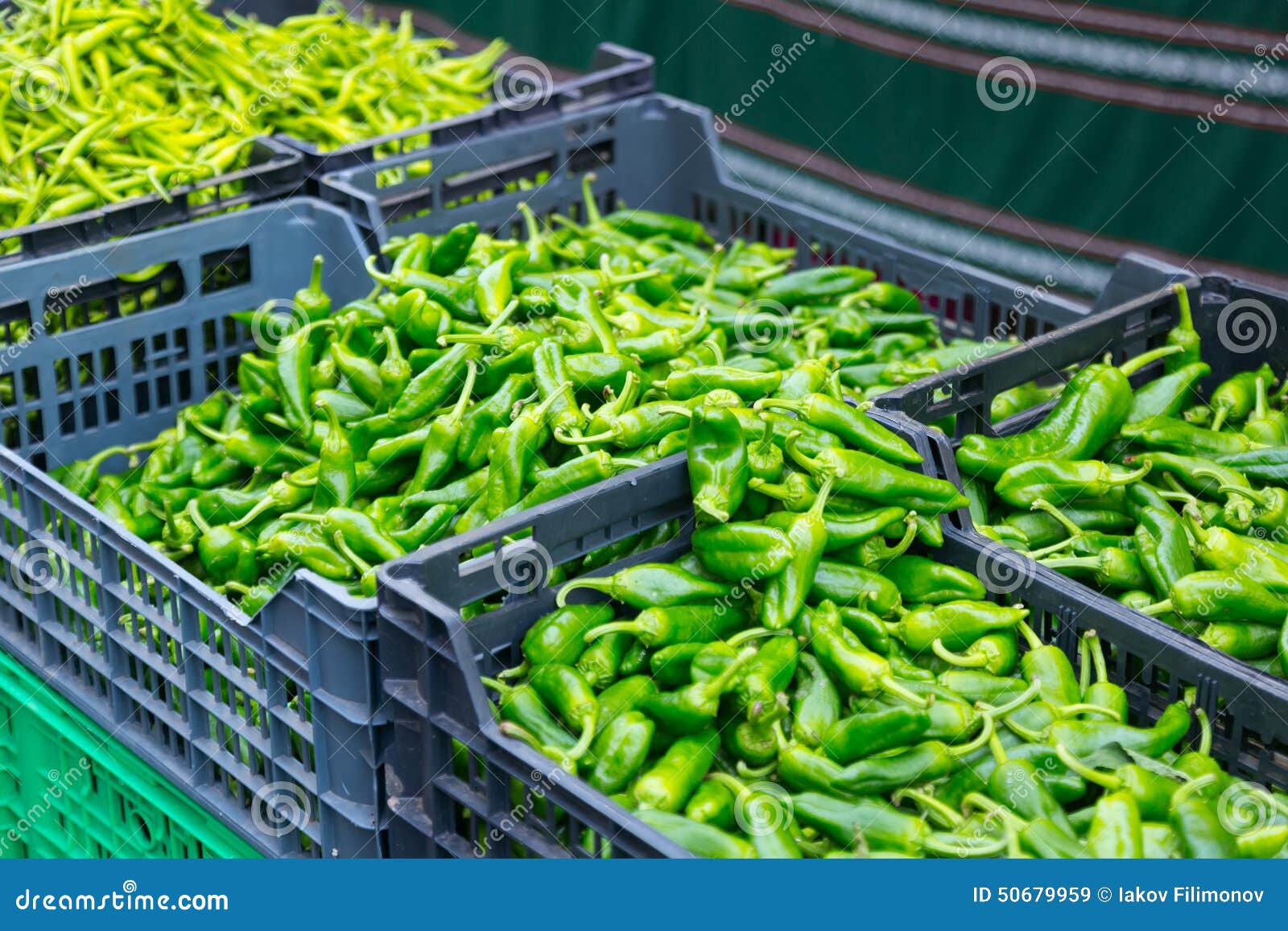 Green peppers in boxes stock image. Image of green, variety - 50679959