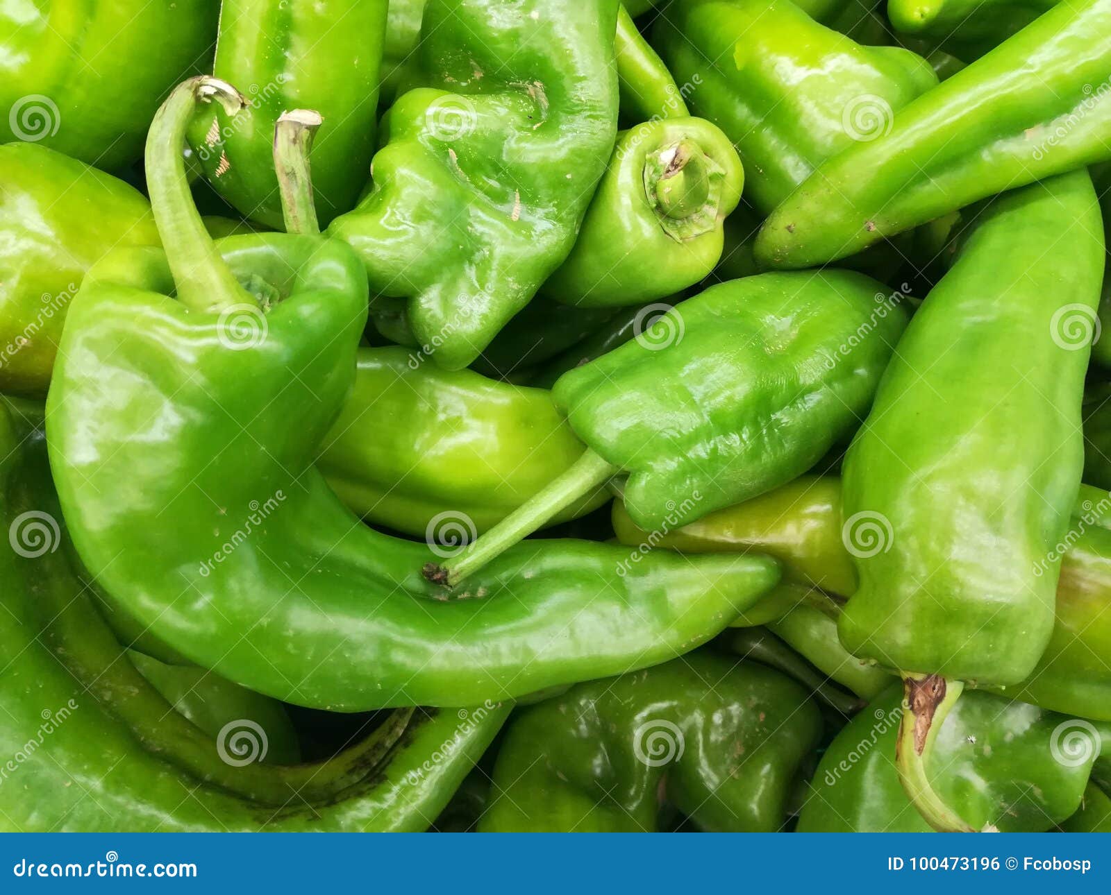 Green peppers vegetables stock photo. Image of peppers - 100473196