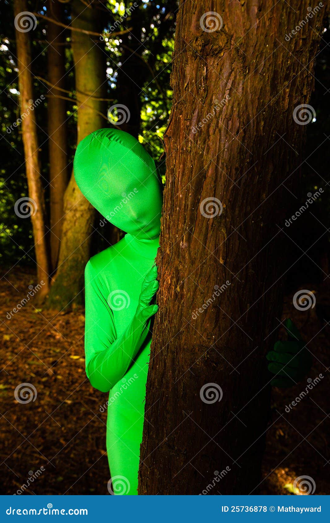 Green Person behind a tree stock photo. Image of balls - 25736878