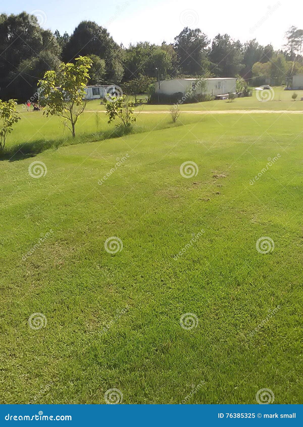 Green stock image. Image of pearson, green, petty, fall - 76385325