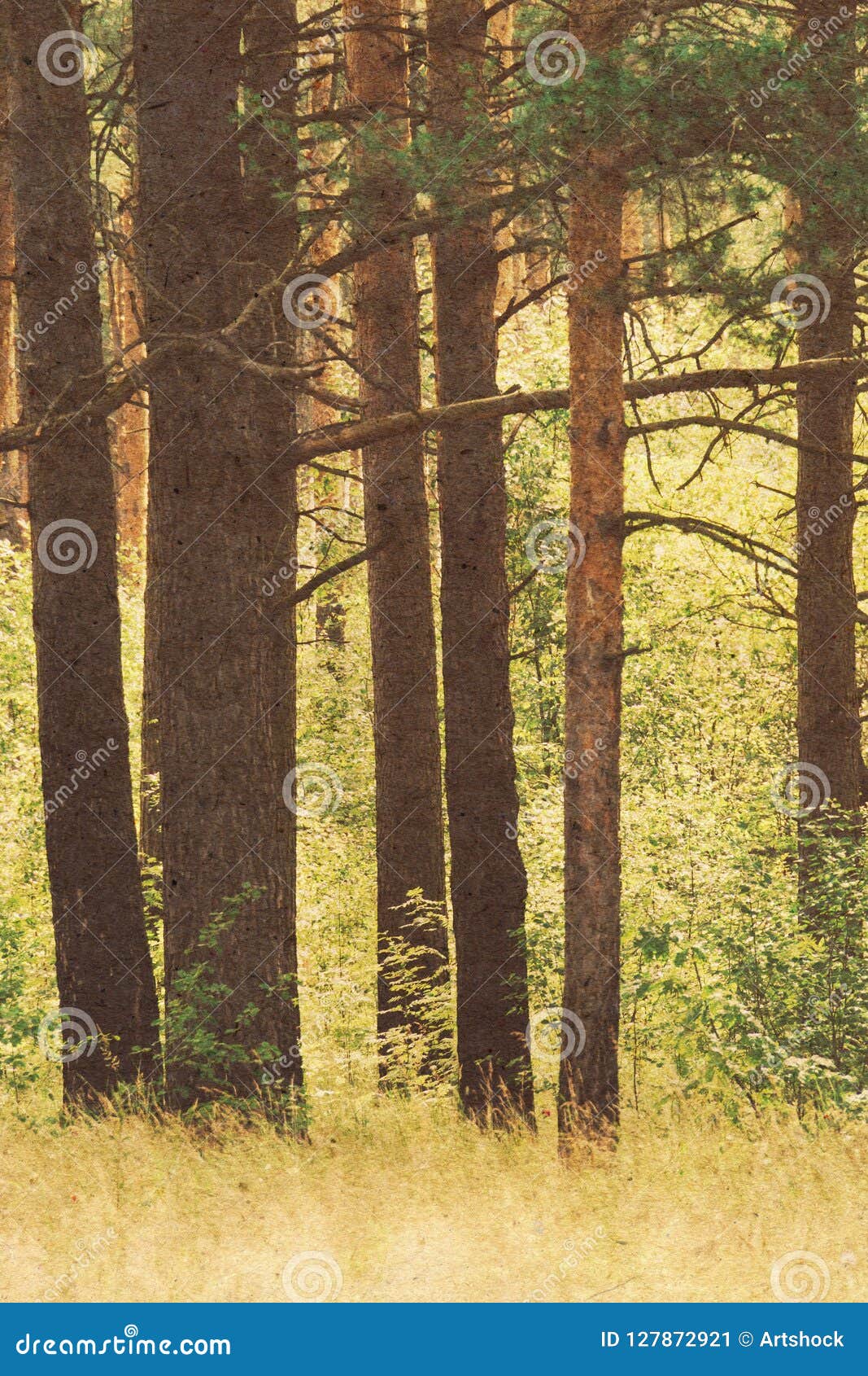 Green pine forest textured stock illustration. Illustration of ...