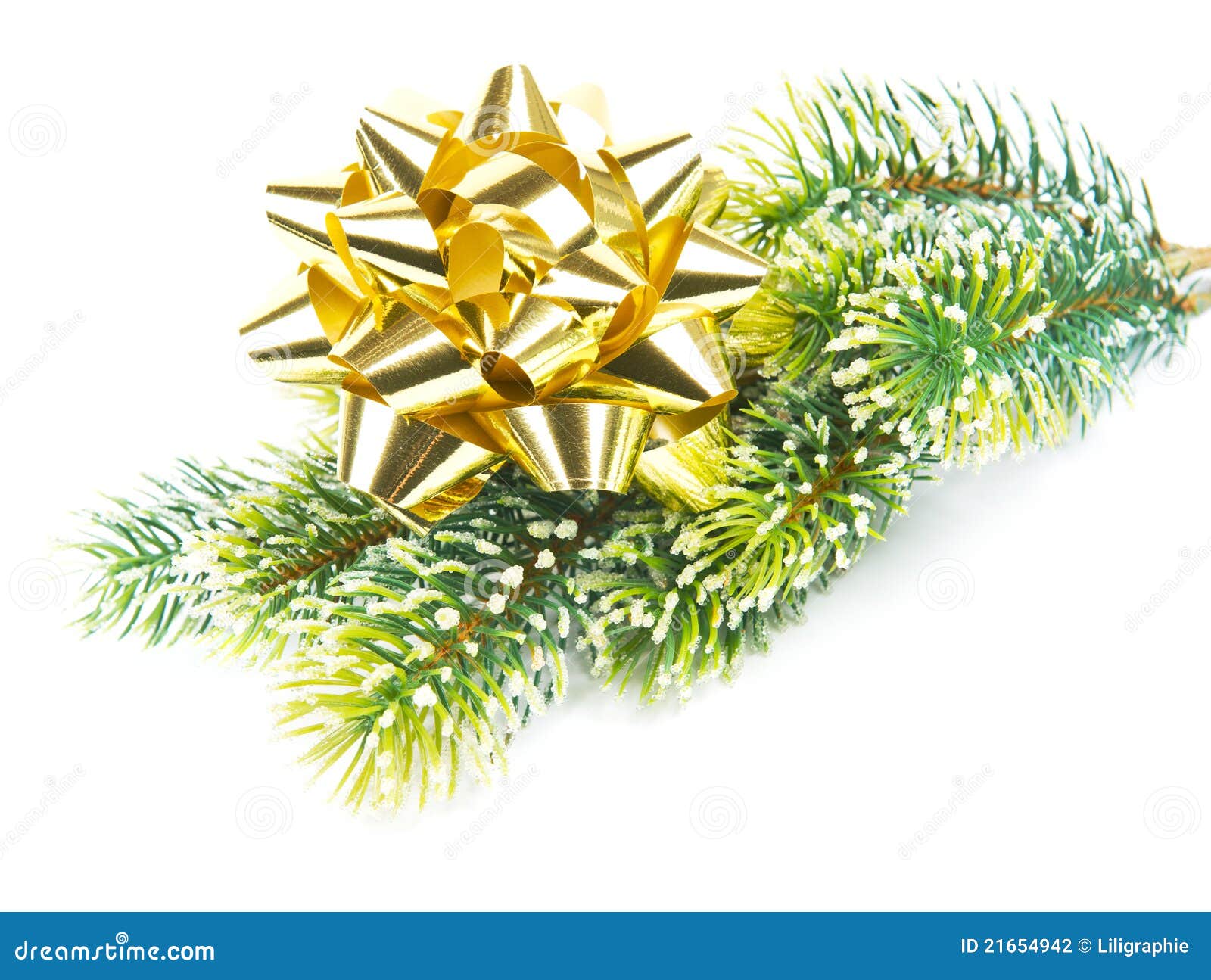Green Pine Tree with Golden Ribbon. Christmas Stock Photo - Image of ...