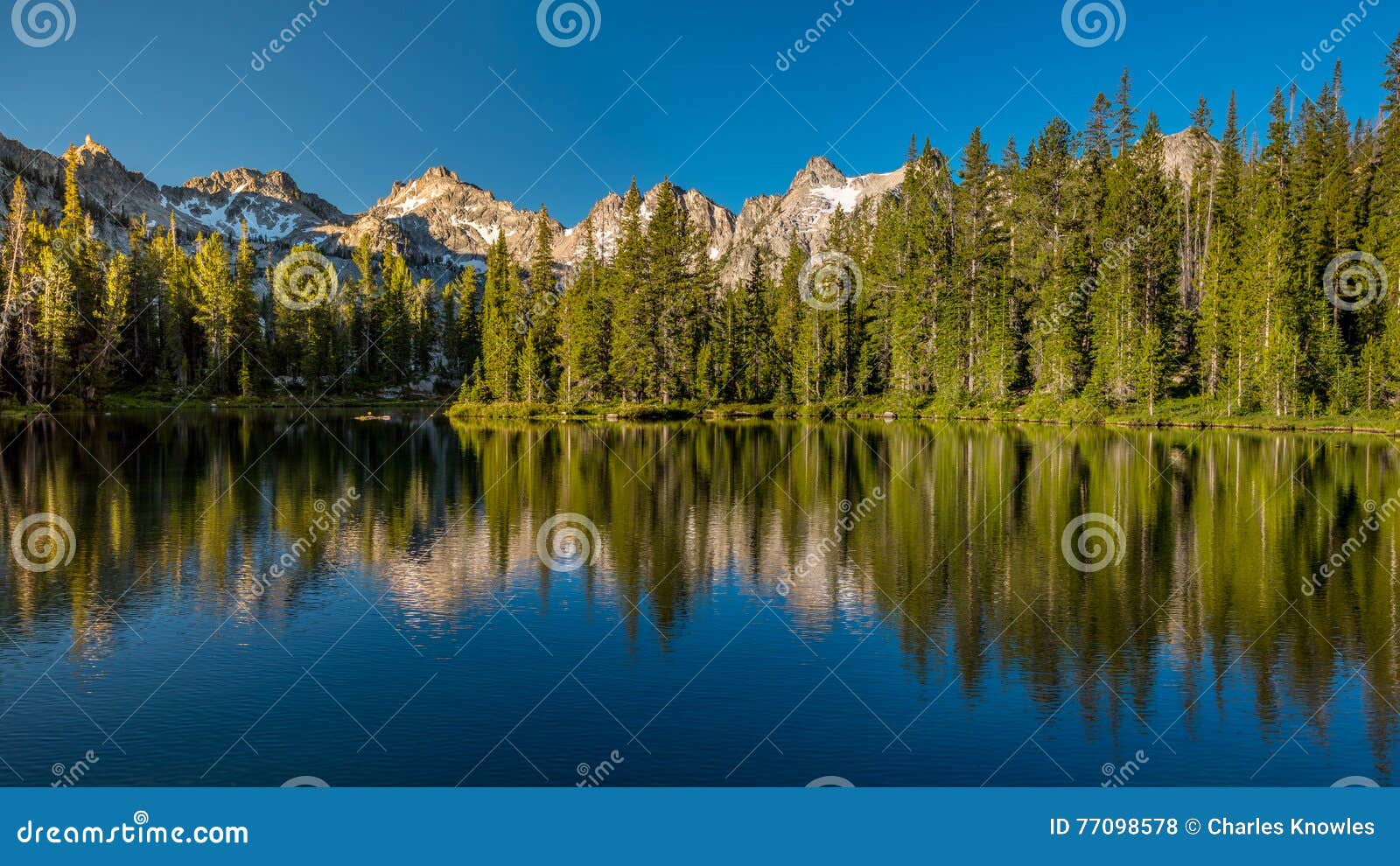 Green Pine Trees Reflection in a High Mountian Lake Stock Photo - Image ...