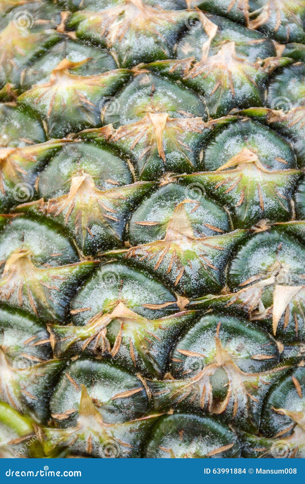 Green Pineapple Shell Texture Stock Photo - Image of background, rough ...