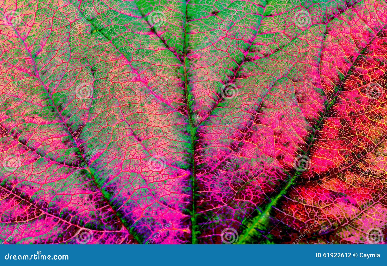 Leaf Veins Seamless Texture Pattern Royalty-Free Stock Photo ...