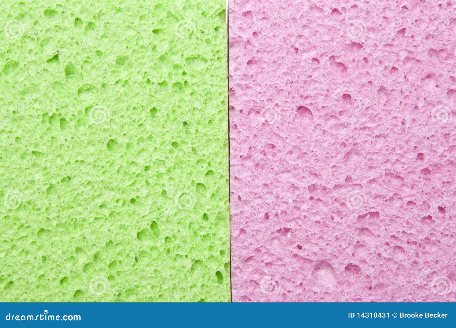 Green and Pink Sponge stock image. Image of scrub, wipe - 14310431