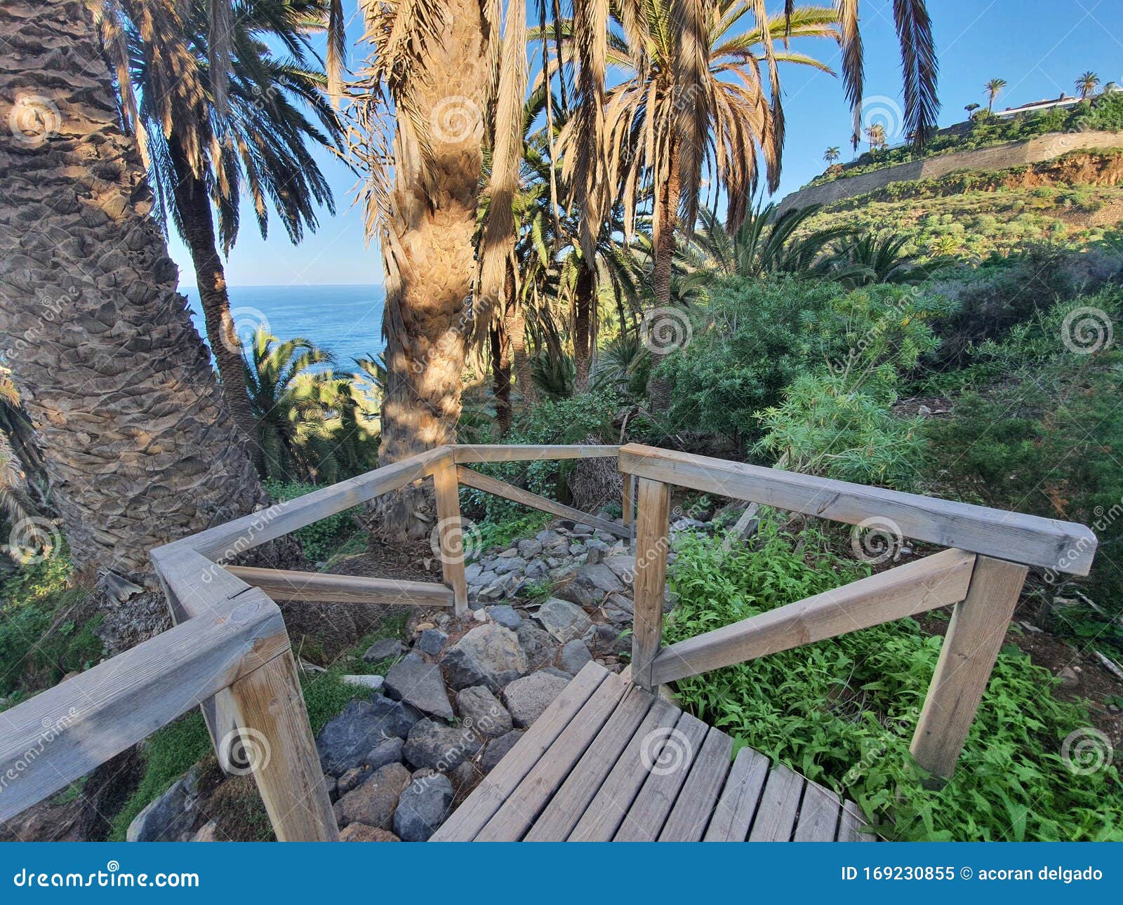 Green place 2 stock image. Image of place, teneriffa - 169230855