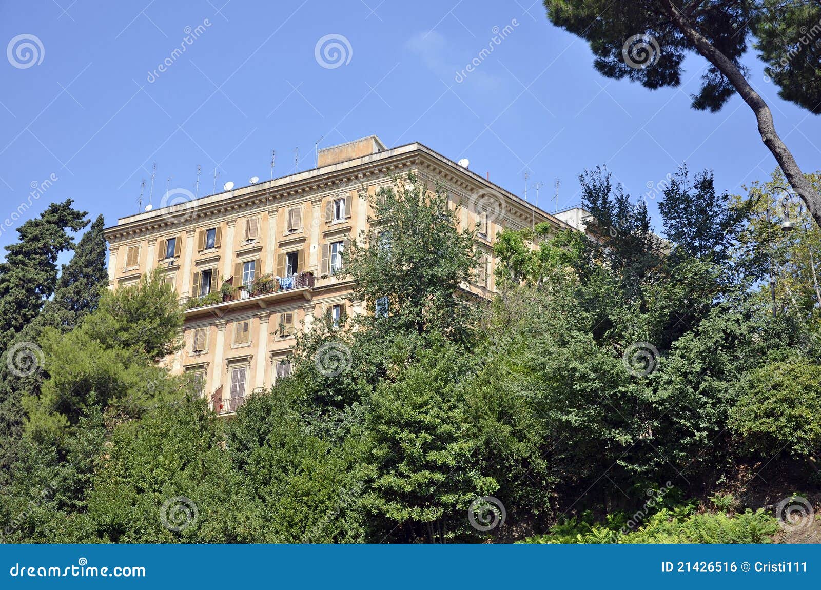 Green place stock photo. Image of opened, close, open - 21426516