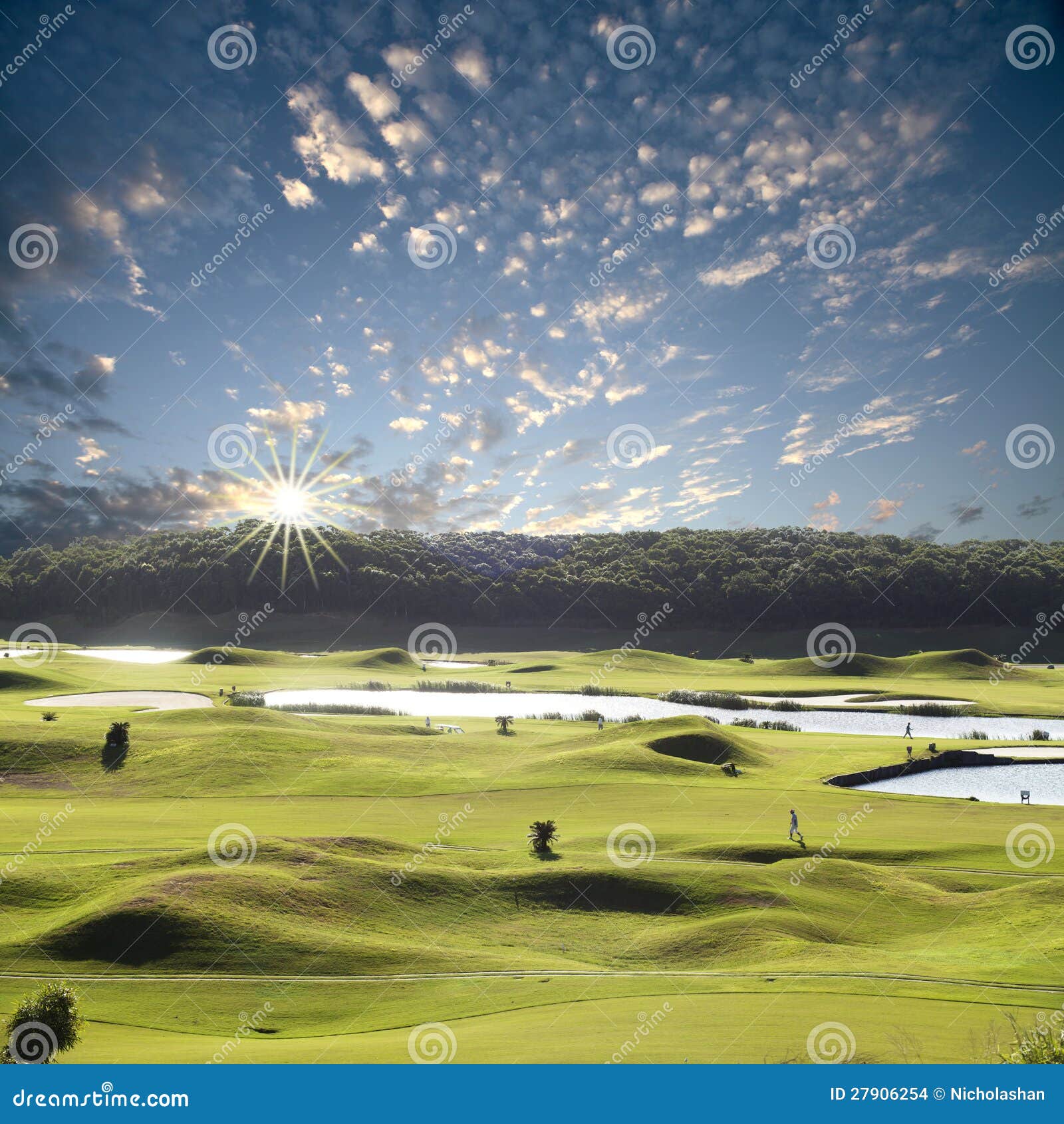 Green Place with Nice Green Stock Photo - Image of field, landscapes ...