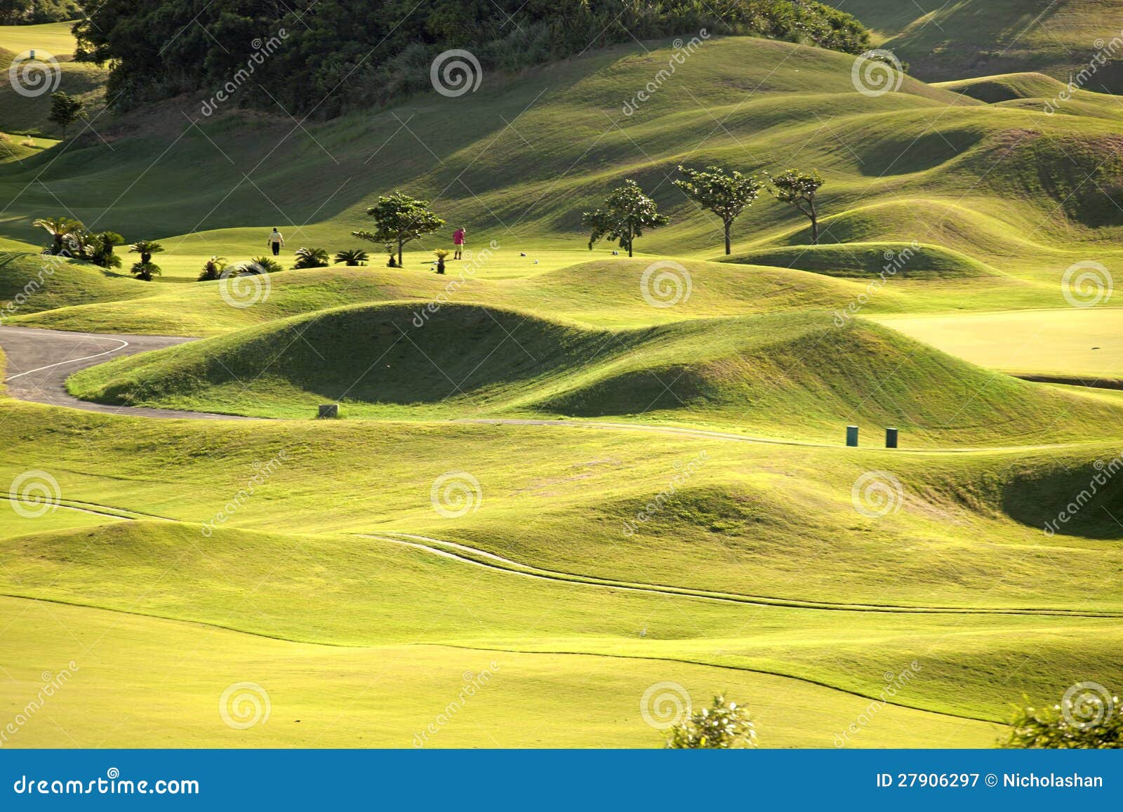 Green Place with Nice Green Stock Image - Image of field, fresh: 27906297