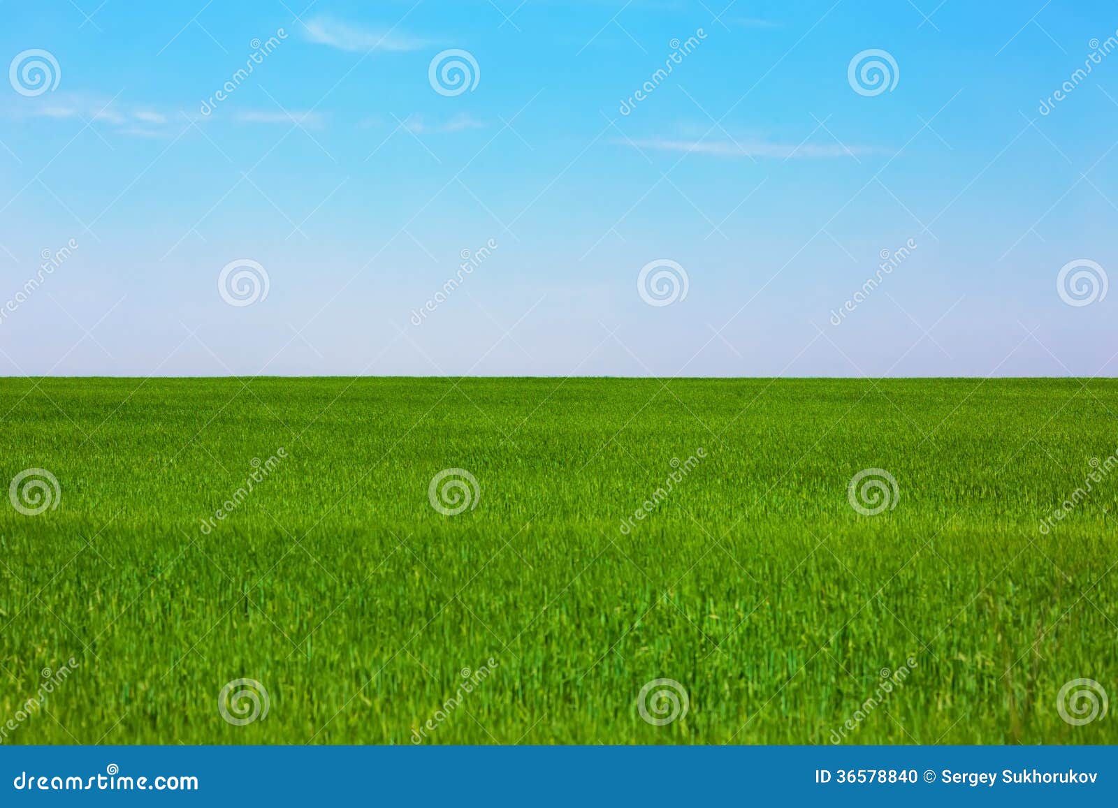 Green plain field stock photo. Image of spring, earth - 36578840