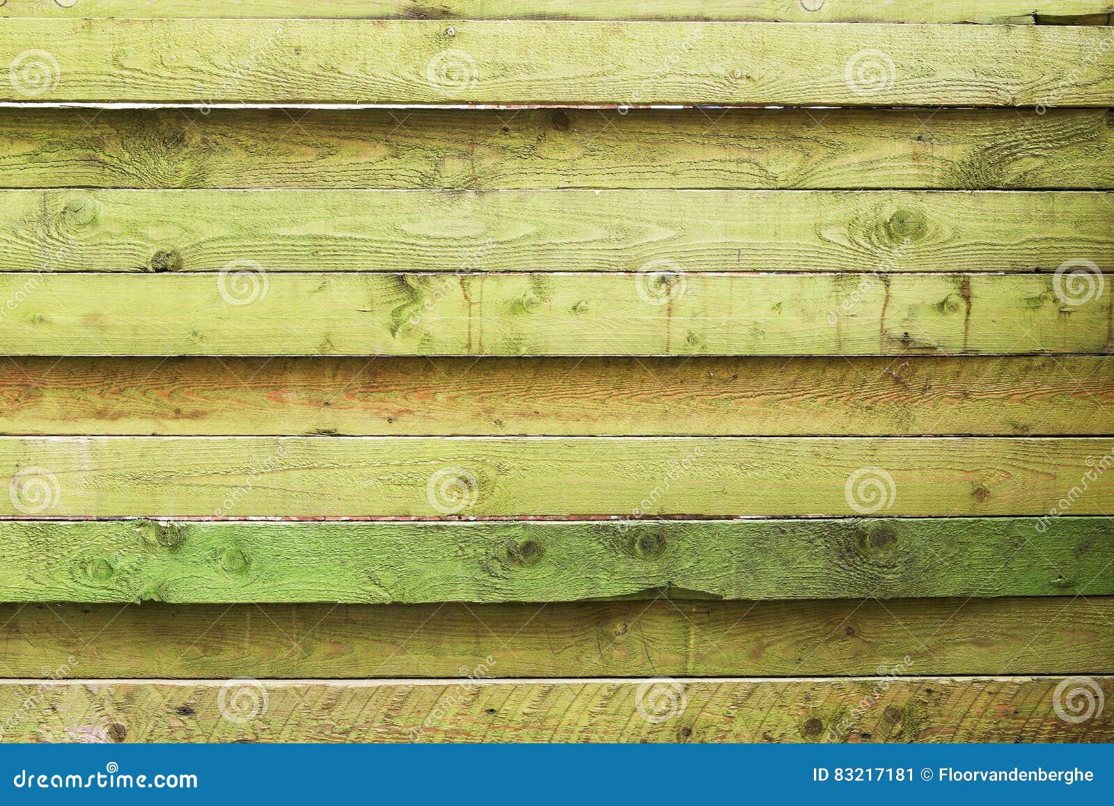 Green plank Texture stock image. Image of isolated, board - 83217181