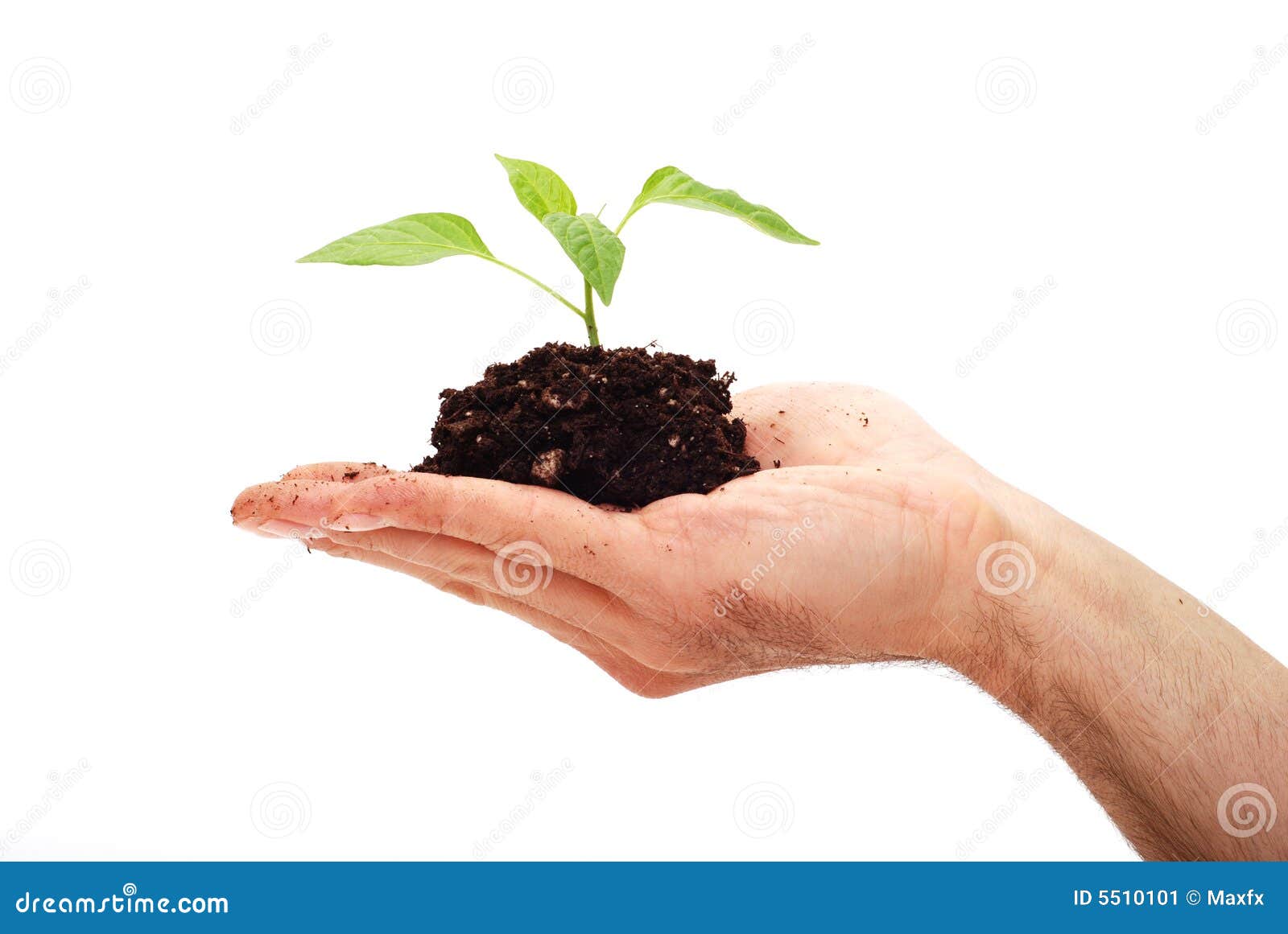Green Plant for Better Environment Stock Image - Image of help ...