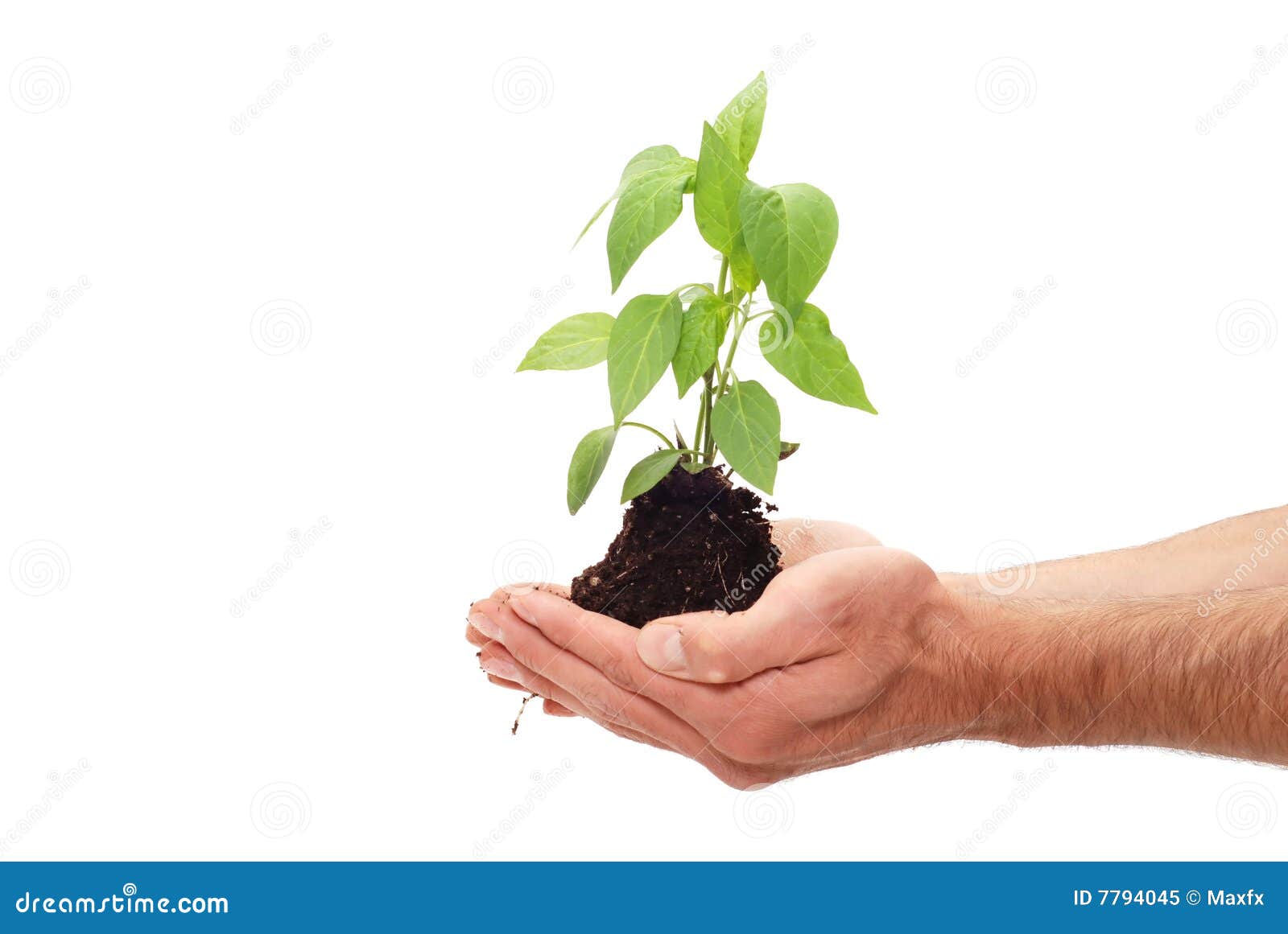 Green Plant for Better Environment Stock Image - Image of hands ...