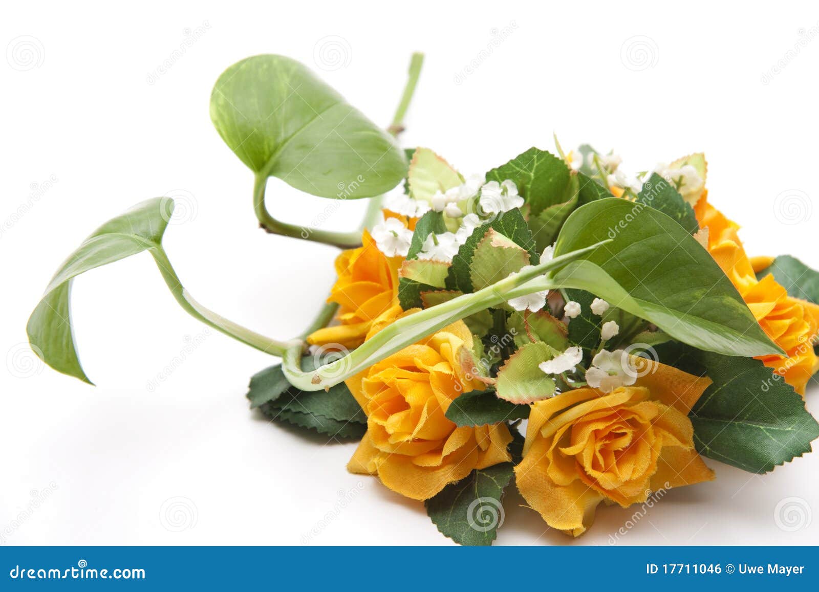 Green Plant with Bunch of Flowers Stock Photo - Image of leaves, flower ...
