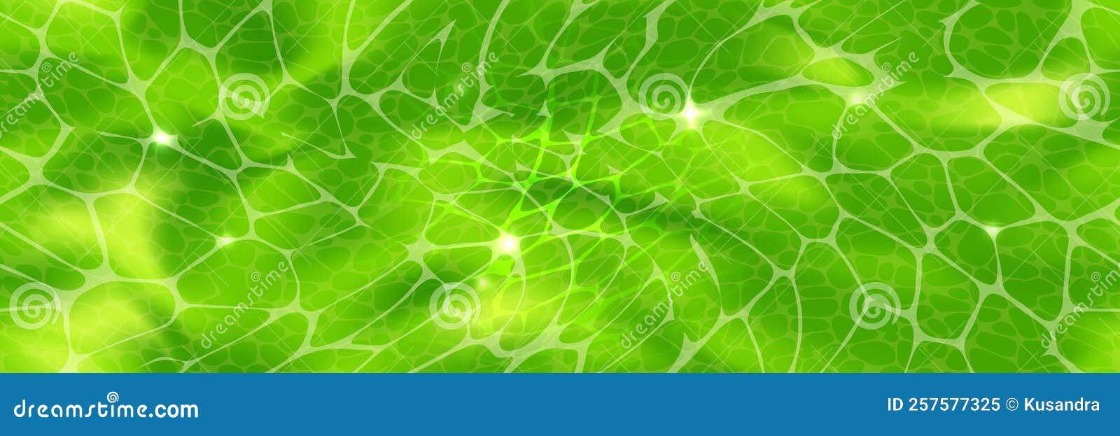 Green Plant Cell Pattern Under a Microscope or Abstract Background ...
