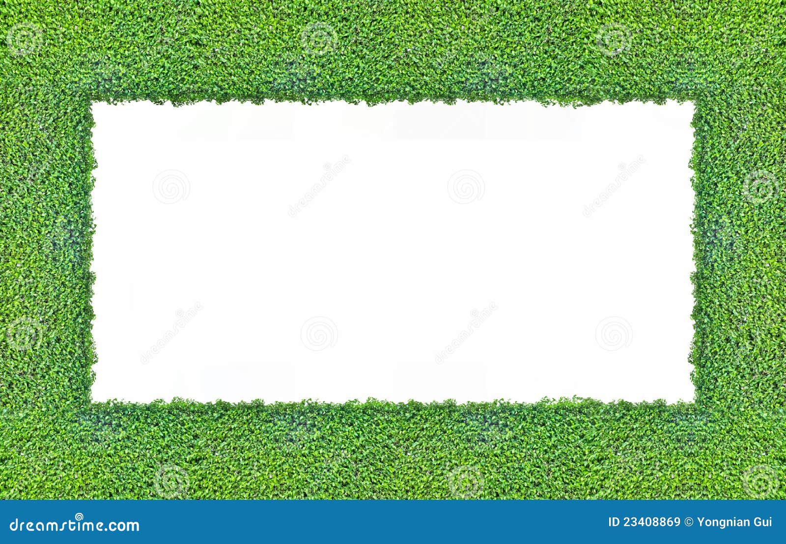 Green plant frame stock image. Image of natural, spring - 23408869