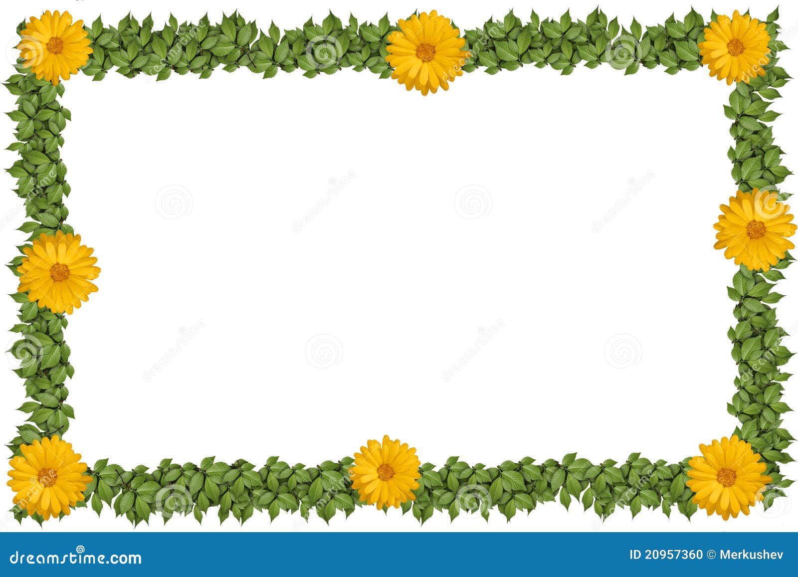 Green Plant Frame with Flowers Stock Illustration - Illustration of ...