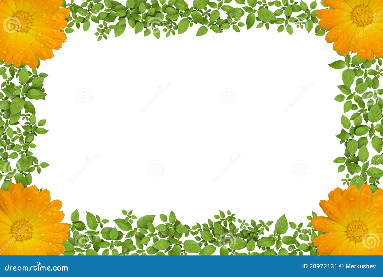 Green Plant Frame with Flowers Stock Illustration - Illustration of ...
