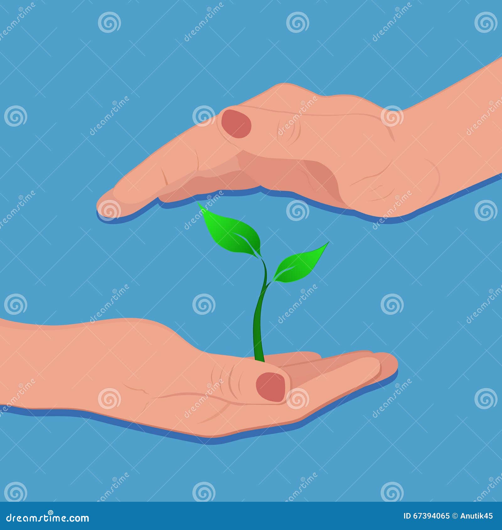 Green Plant Growing in Hand, Vector Illustration Stock Vector ...