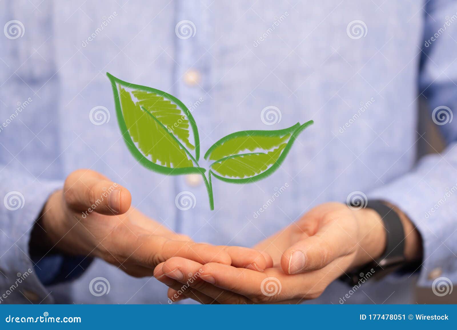 A Green Plant Growing Up Digital Stock Image - Image of environment ...