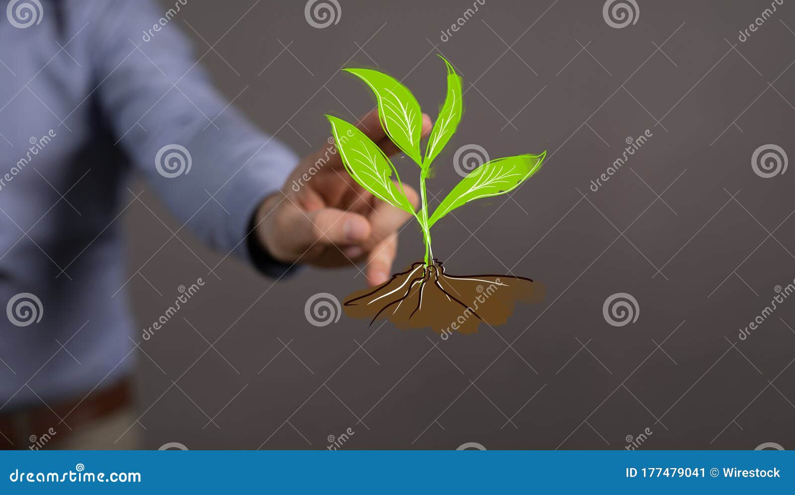 A Green Plant Growing Up Digital Stock Image - Image of sunlight ...