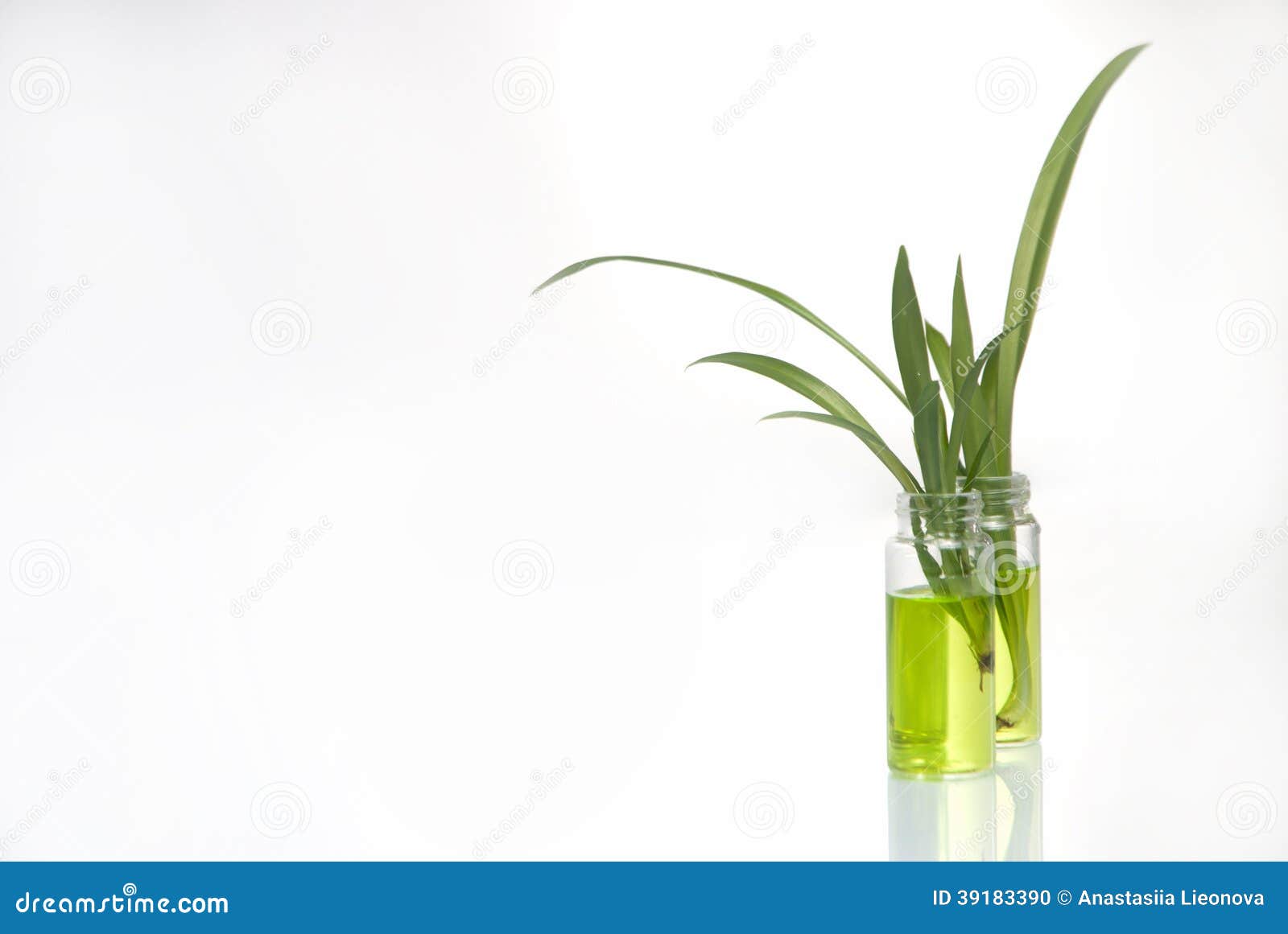 Green plant in laboratory stock photo. Image of engineering - 39183390