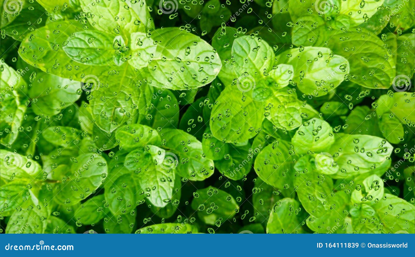 Green Plant Leaves Abstract Art Stock Image - Image of abstract, leaves ...