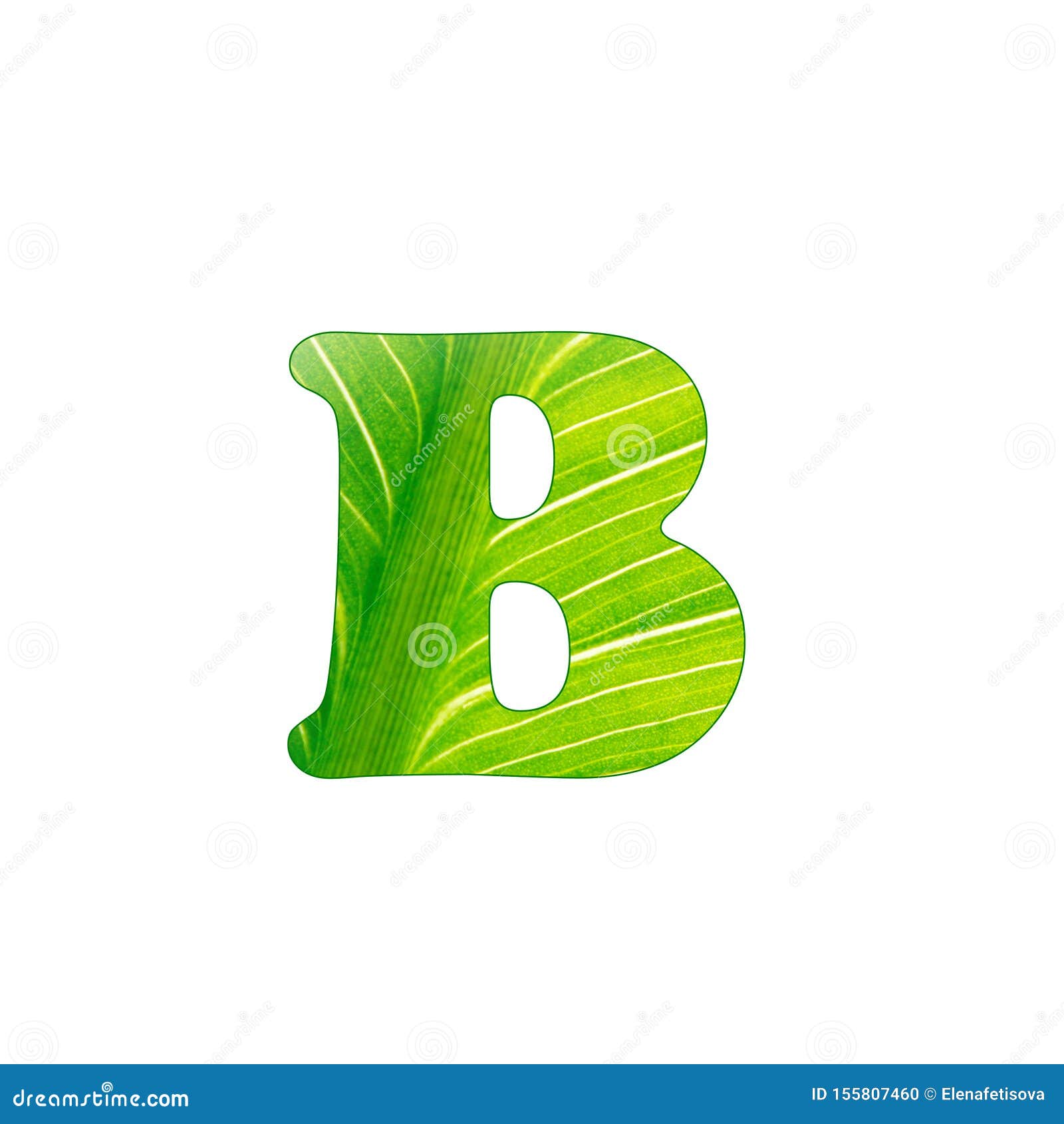 The Green Plant Letter B , Letters Cut of the Background of Green Sheet ...