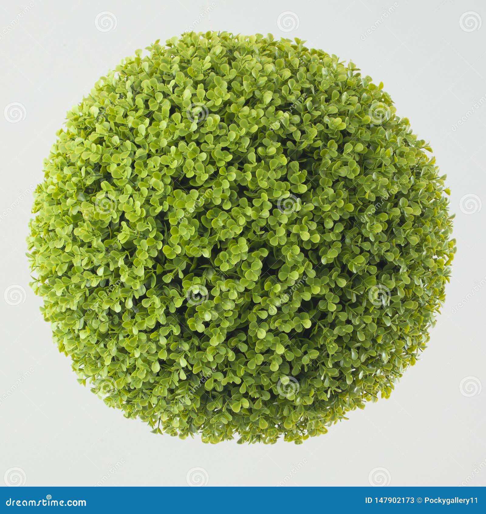 Green Plant Sphere on White Stock Image - Image of circle, fresh: 147902173