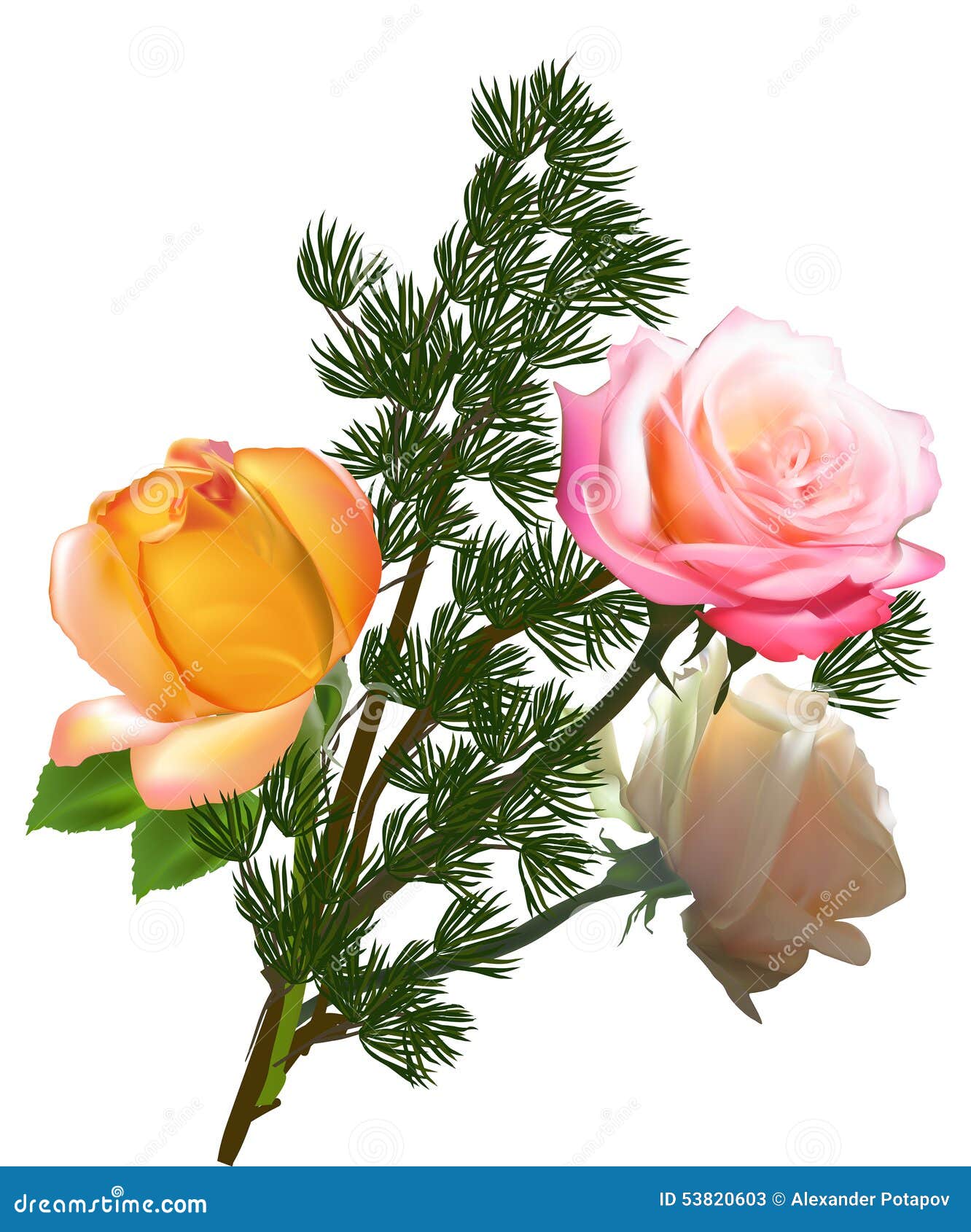 Green Plant and Three Color Roses on White Stock Vector - Illustration ...