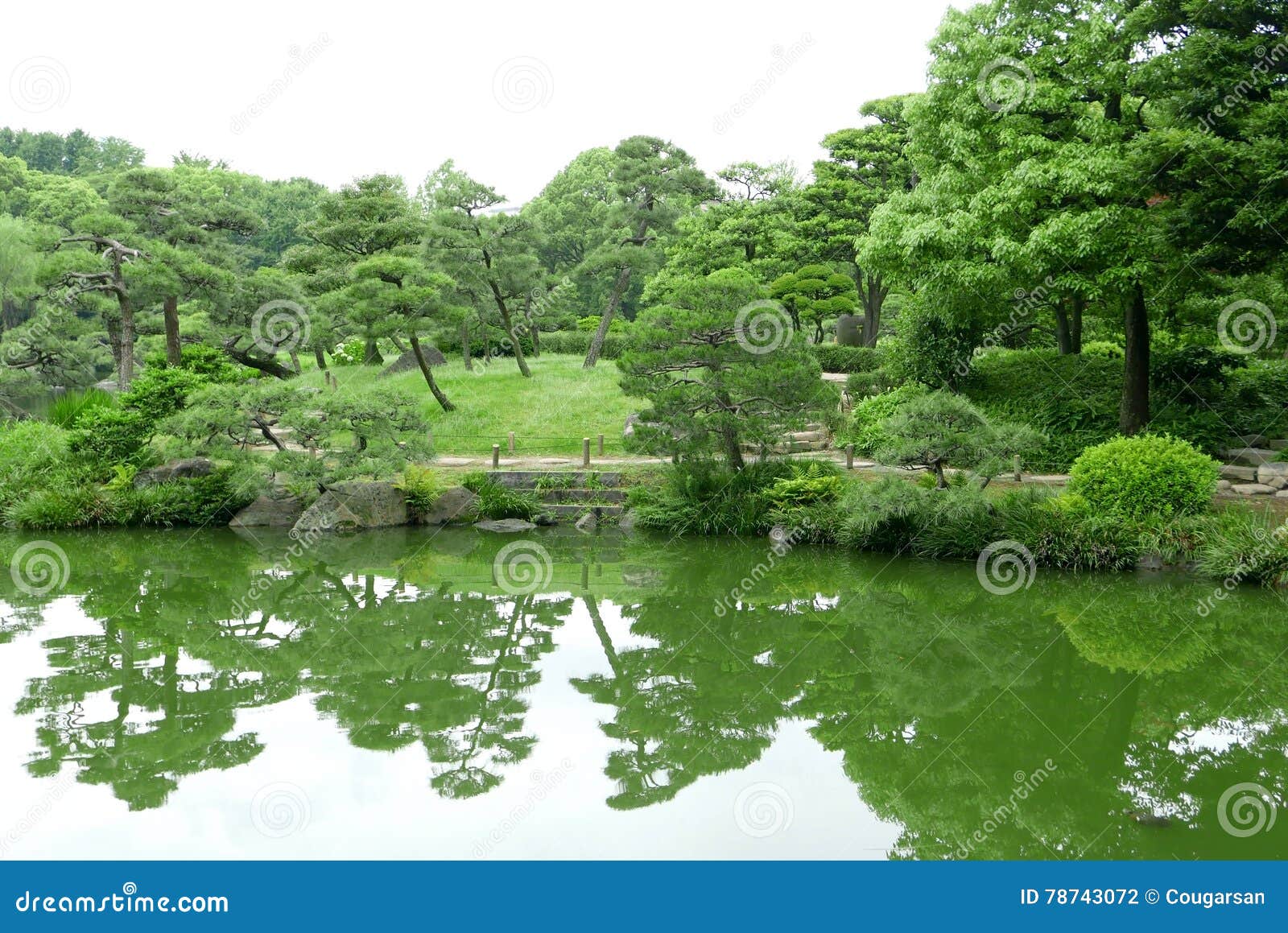 Green Plant, Tree and Lake in Zen Garden Stock Photo - Image of ...