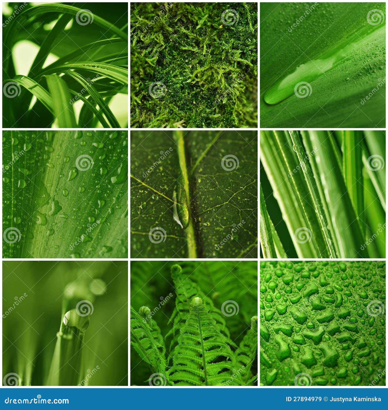 Green plants - collage stock image. Image of environment - 27894979