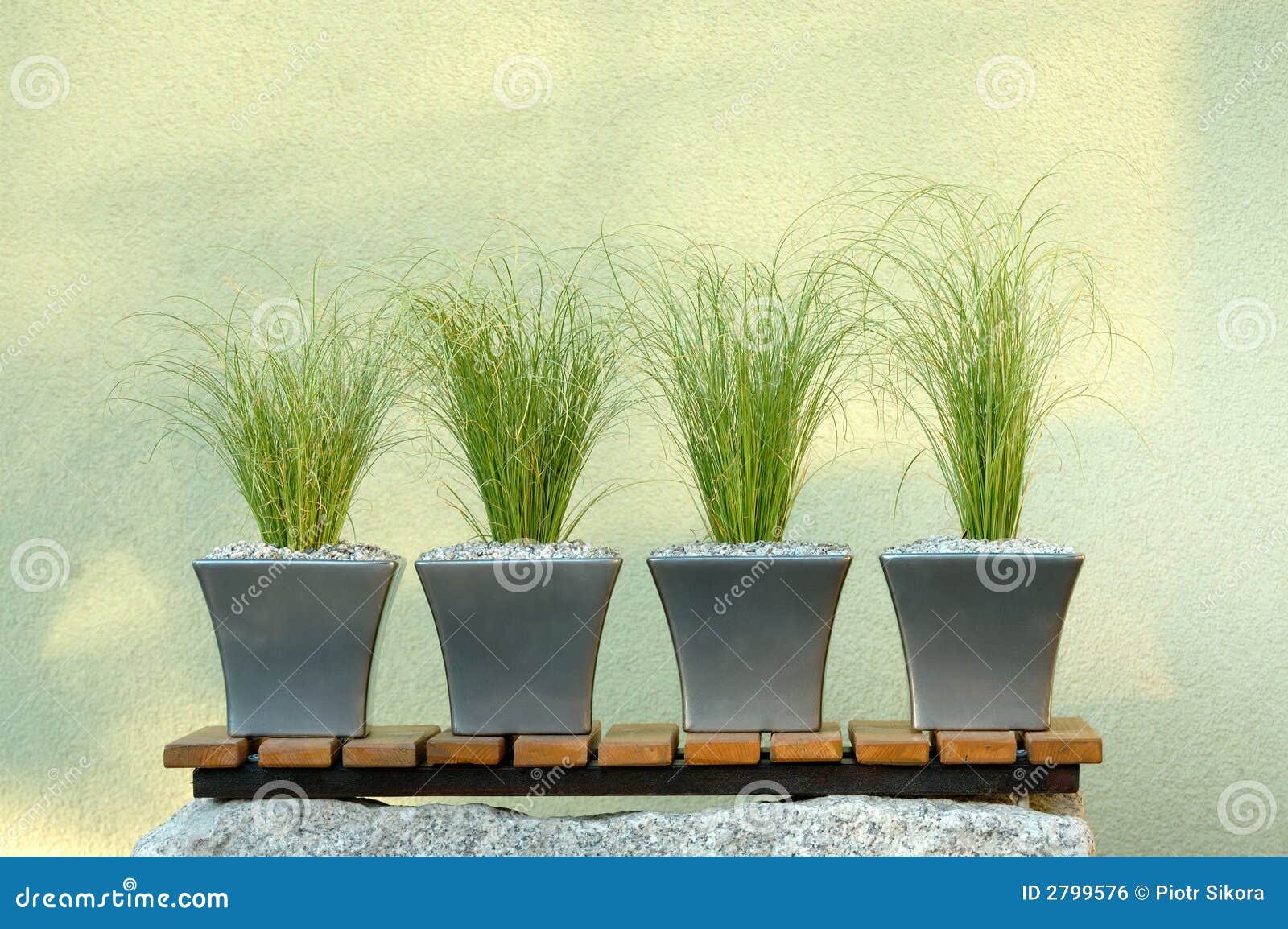 Green plants composition stock photo. Image of gardening - 2799576