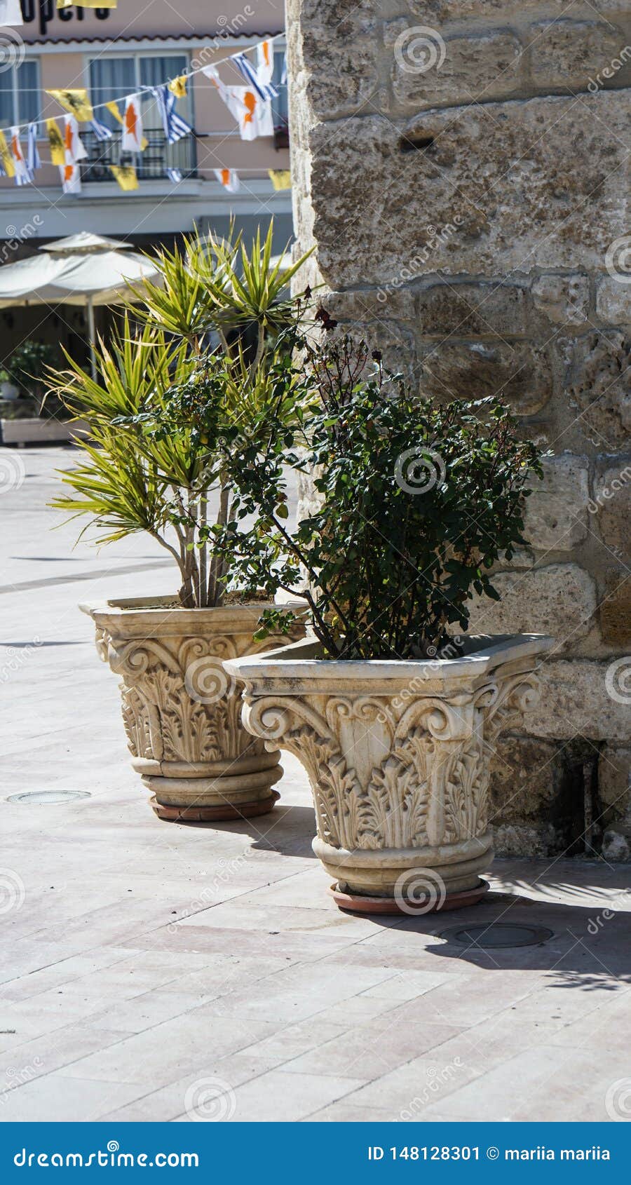 Green Plants Flowers in Pots with a Pattern are on the Street of Cyprus ...