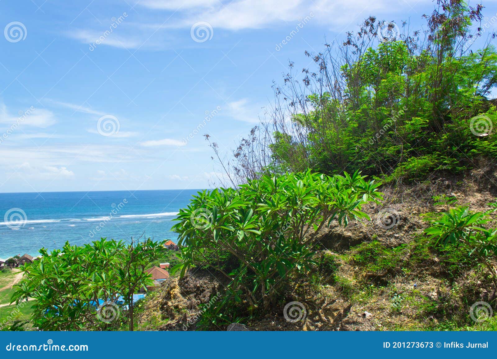Green Plants that Grow Around the Beach Stock Image - Image of blue ...