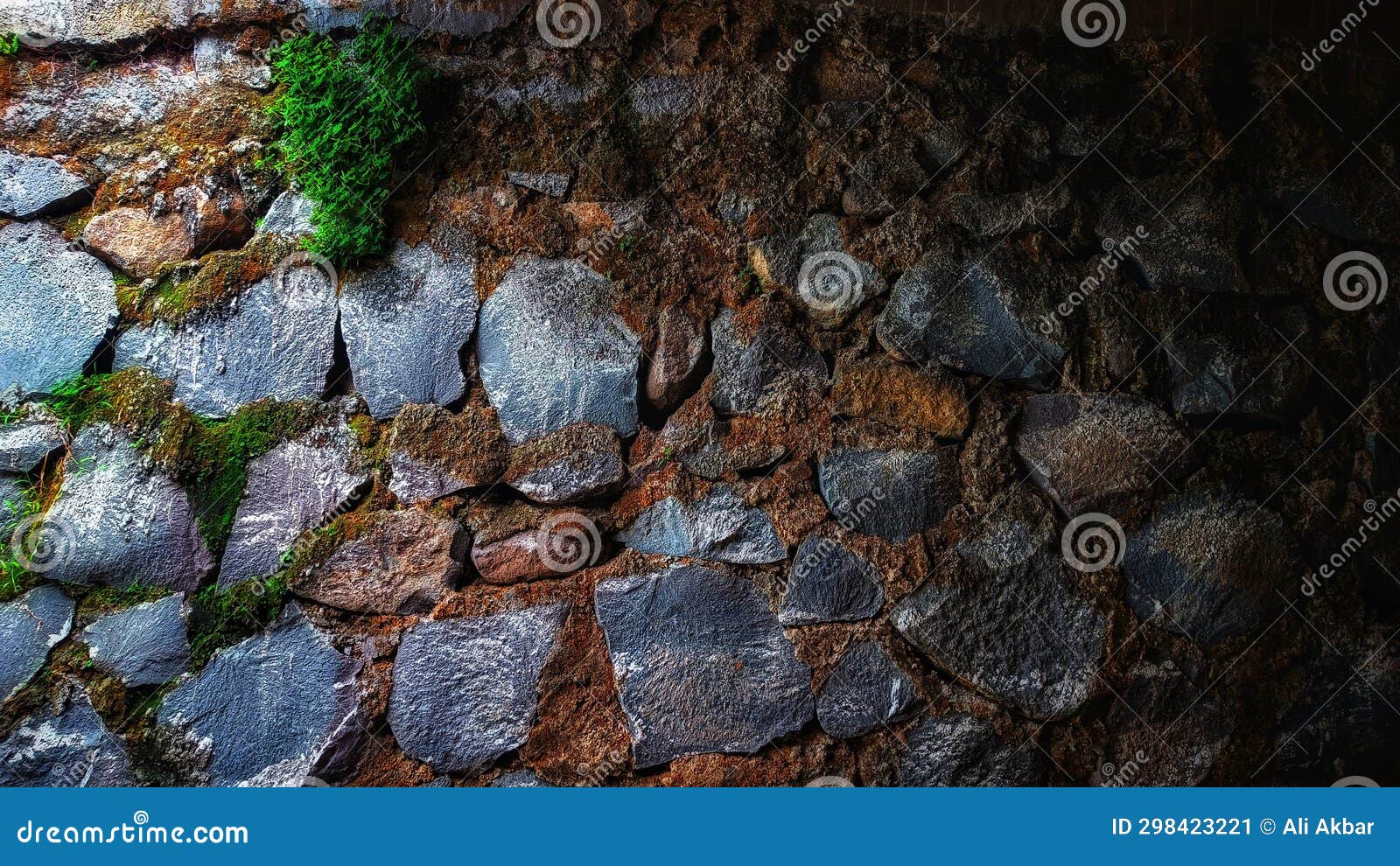 Green Plants Growing on the Stone Foundation Stock Image - Image of ...