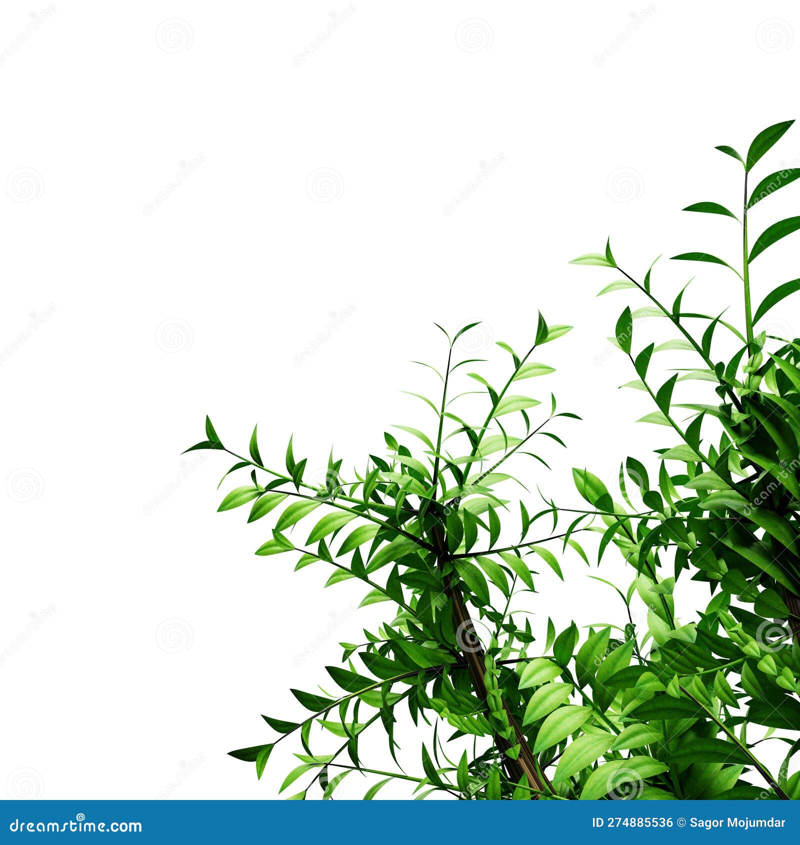 Green Plants, Springs, Leaf on Transparent, Plants Elements Stock Photo ...