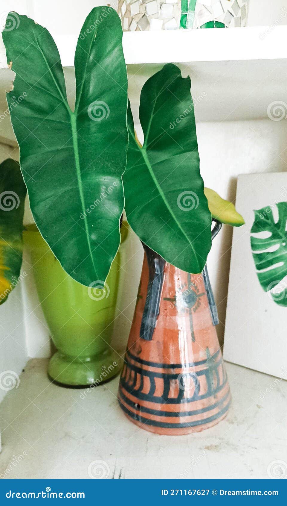 Green Plants To Decorate the Room Placed in a Unique Ceramic Container ...