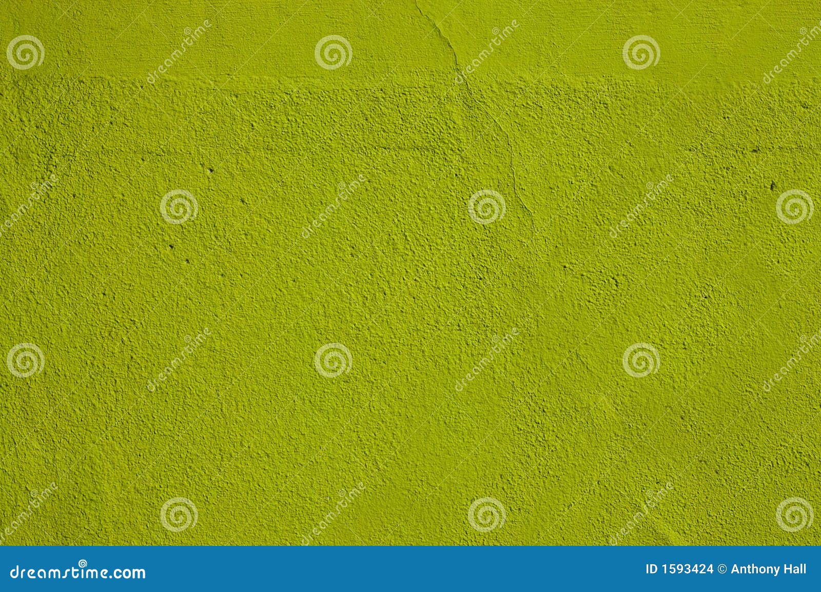 Green plaster wall stock photo. Image of green, vivid - 1593424