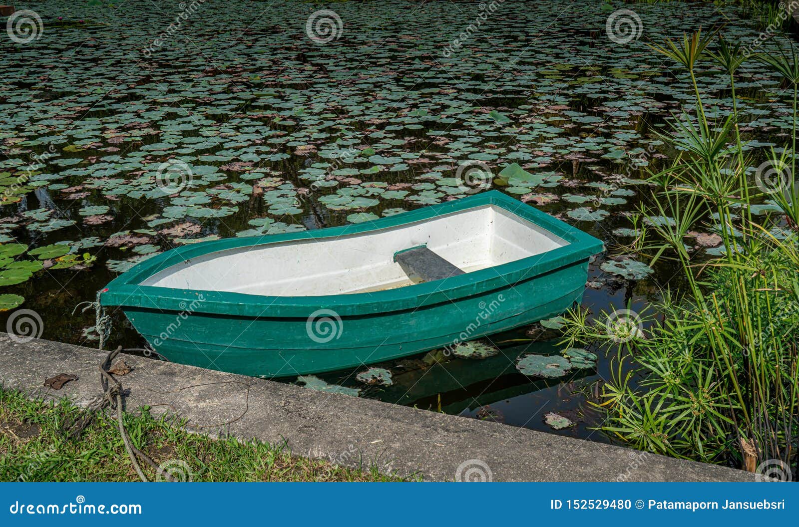 Green Plastic Boat on the Pond Stock Photo - Image of water, plastic ...