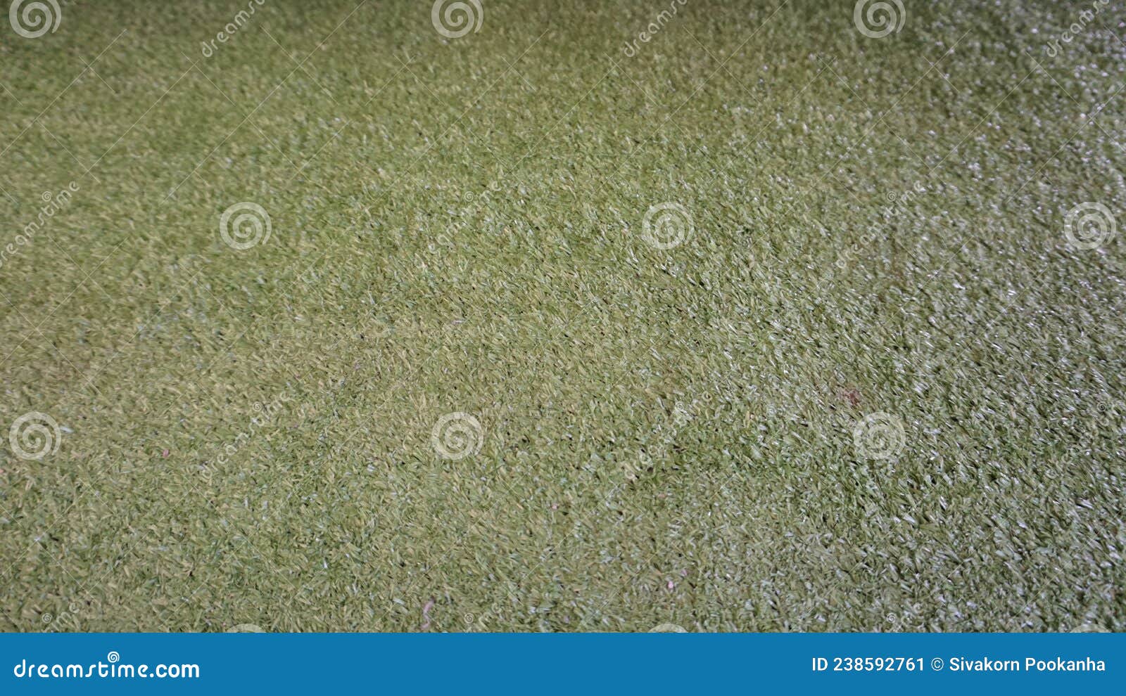 Green Plastic Grass Texture with Sunlight for Background or ...