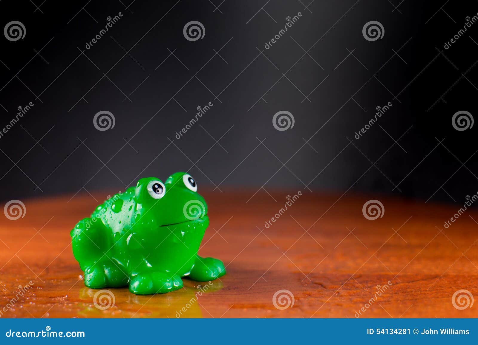 Green Plastic Rubber Frog stock image. Image of isolated - 54134281