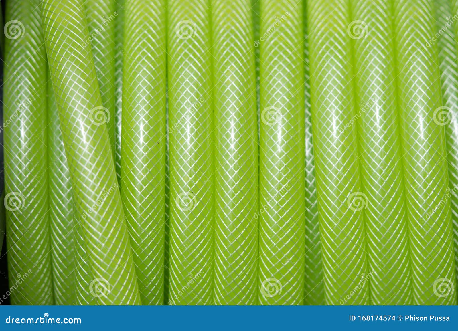 Green Plastic Rubber Strap Water for Plants Stock Photo - Image of ...