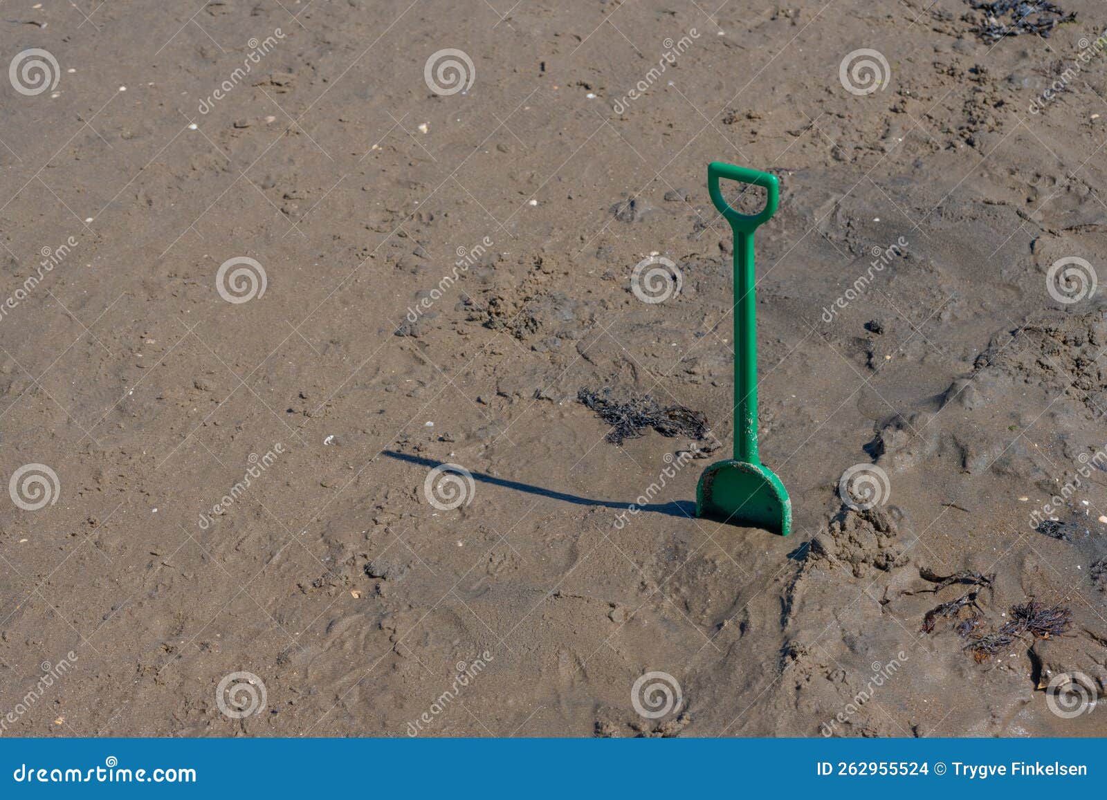 Green Plastic Shover Standing in Beach Sand.. Stock Photo - Image of ...